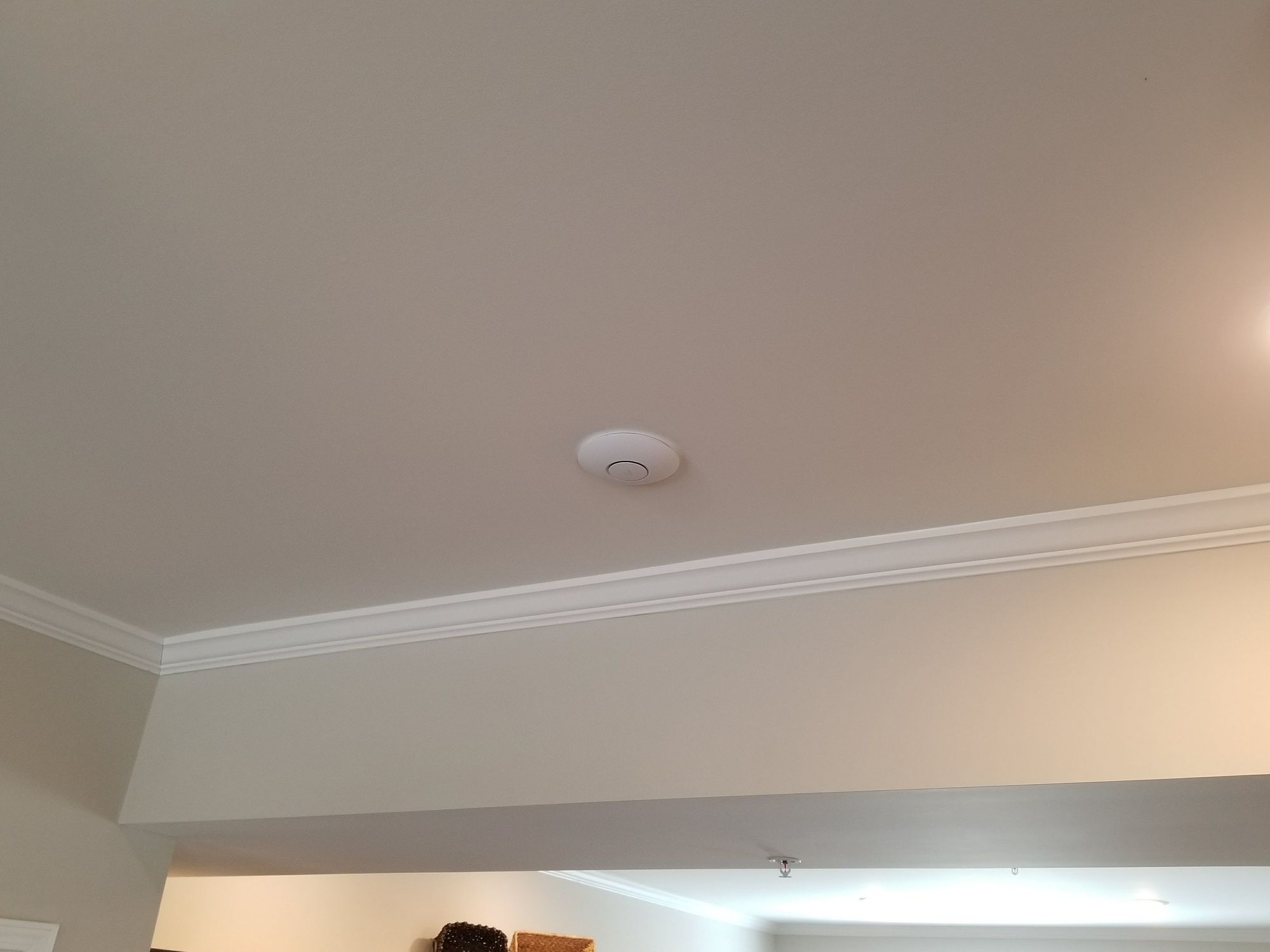 Wall Ceiling Mount With Electrical Box Installation Adapter Plate ...